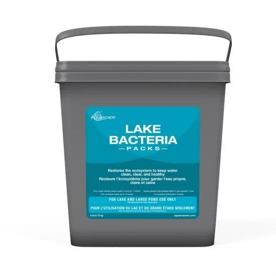 Aquascape Lake Bacteria Packs - 48 Pack | Ponds Online