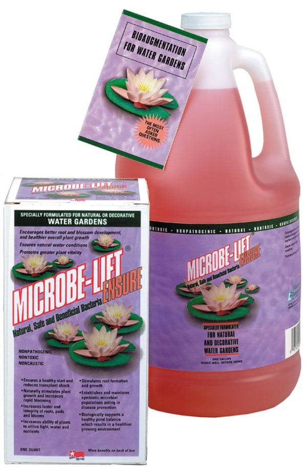 Microbe-Lift Ensure - 1 Gallon | Ponds Online